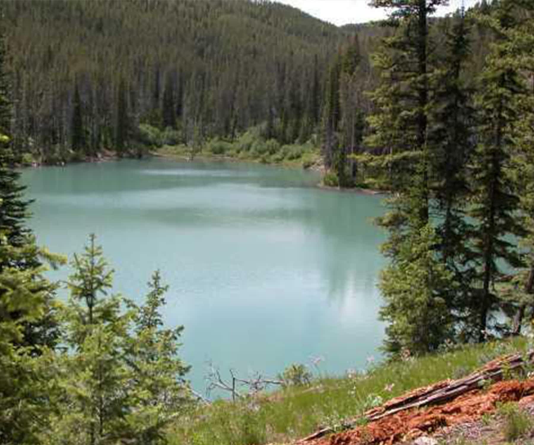 Explore Wydaho: Packsaddle Lake - Wydaho Property Management LLC